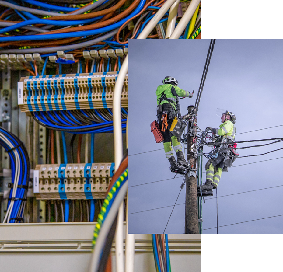 Trainor | FSE course